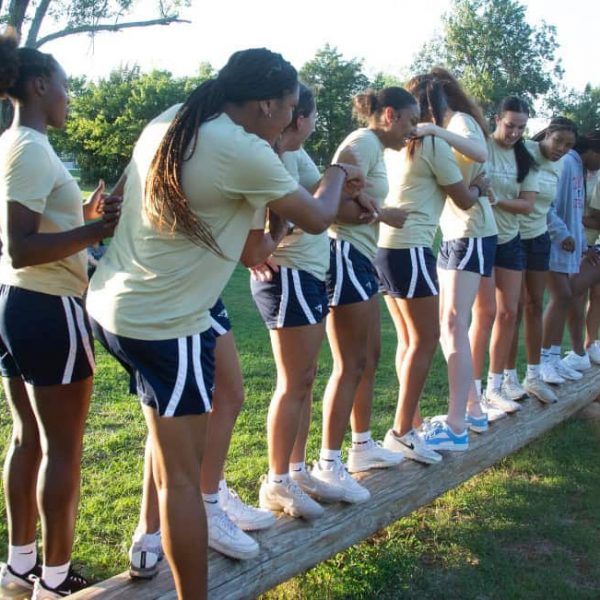 The Outdoor Adventure Courses at Shiloh Adventures